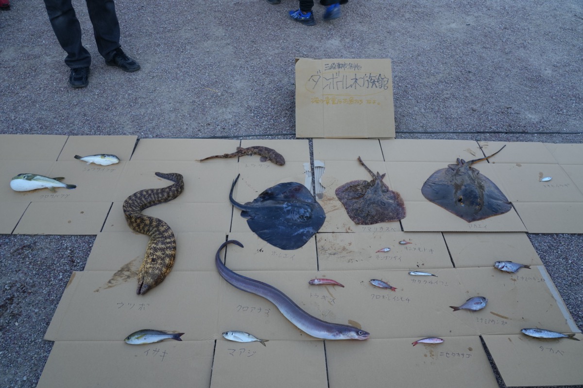 三崎港のかわいいお宿、「bed&breakfast ichi」に宿泊 | No Mountain, No Life.